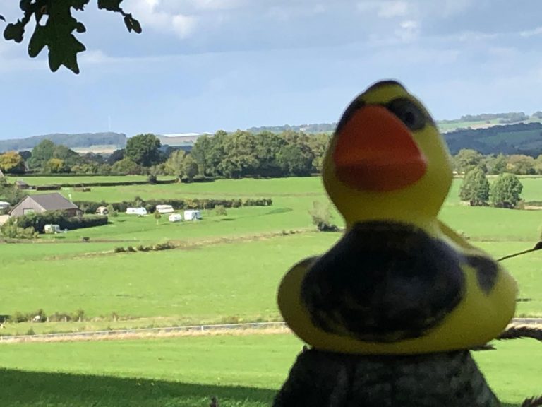 Greet the great Ducktective, the sleuth who sinks his teeth into ...