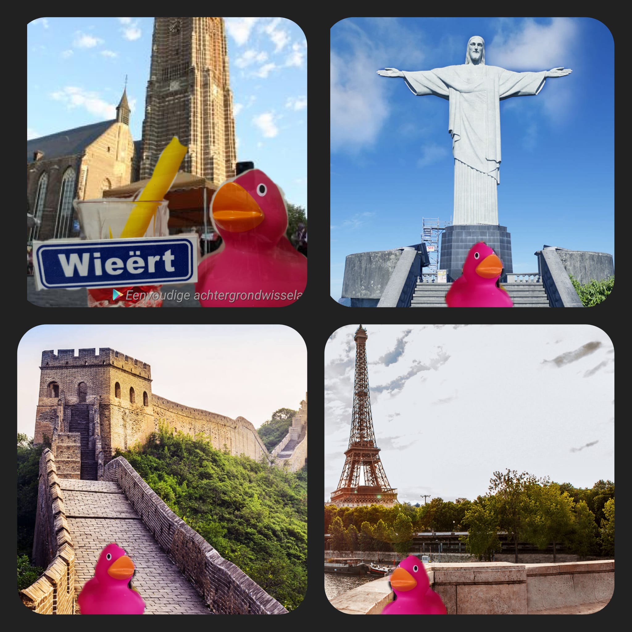 Meet Vlêrkske, the duckster that wings it – Adventure Ducksters