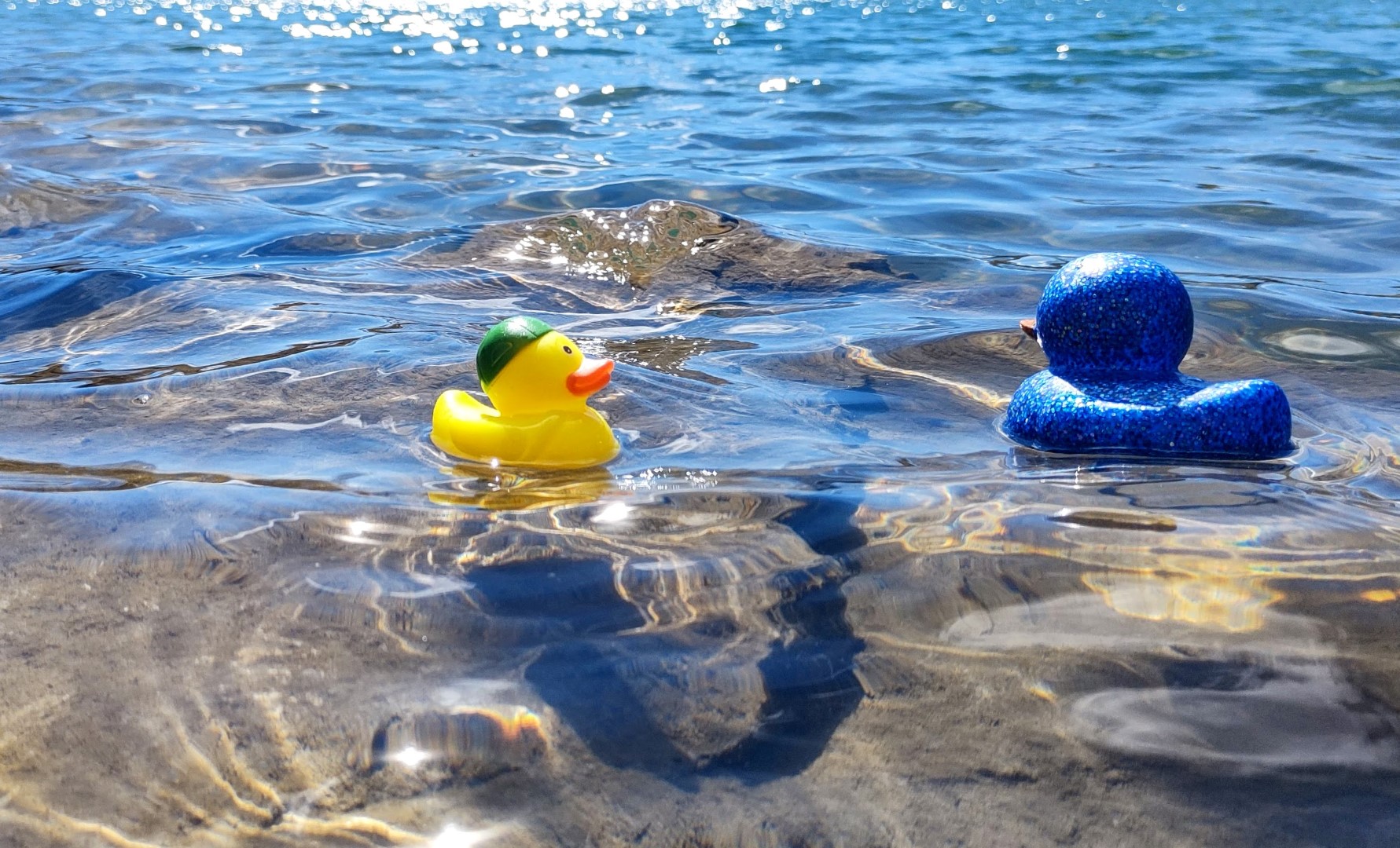 Bachalpsee: the most beautiful Swiss lake for an Alpine Swim ...